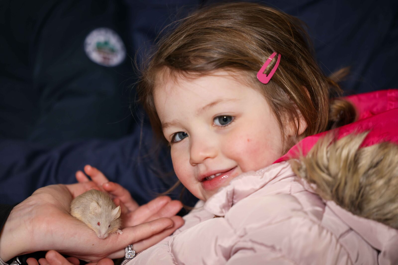 Family day out Morpeth farm – Whitehouse Farm Centre | Whitehouse Farm ...